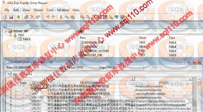Oracle数据库修复oracle数据库恢复oracle数据库表恢复oracle坏块修复oracle灾难修复oracle修复工具oracle Dmp文件修复 Ora Dbf Dmp